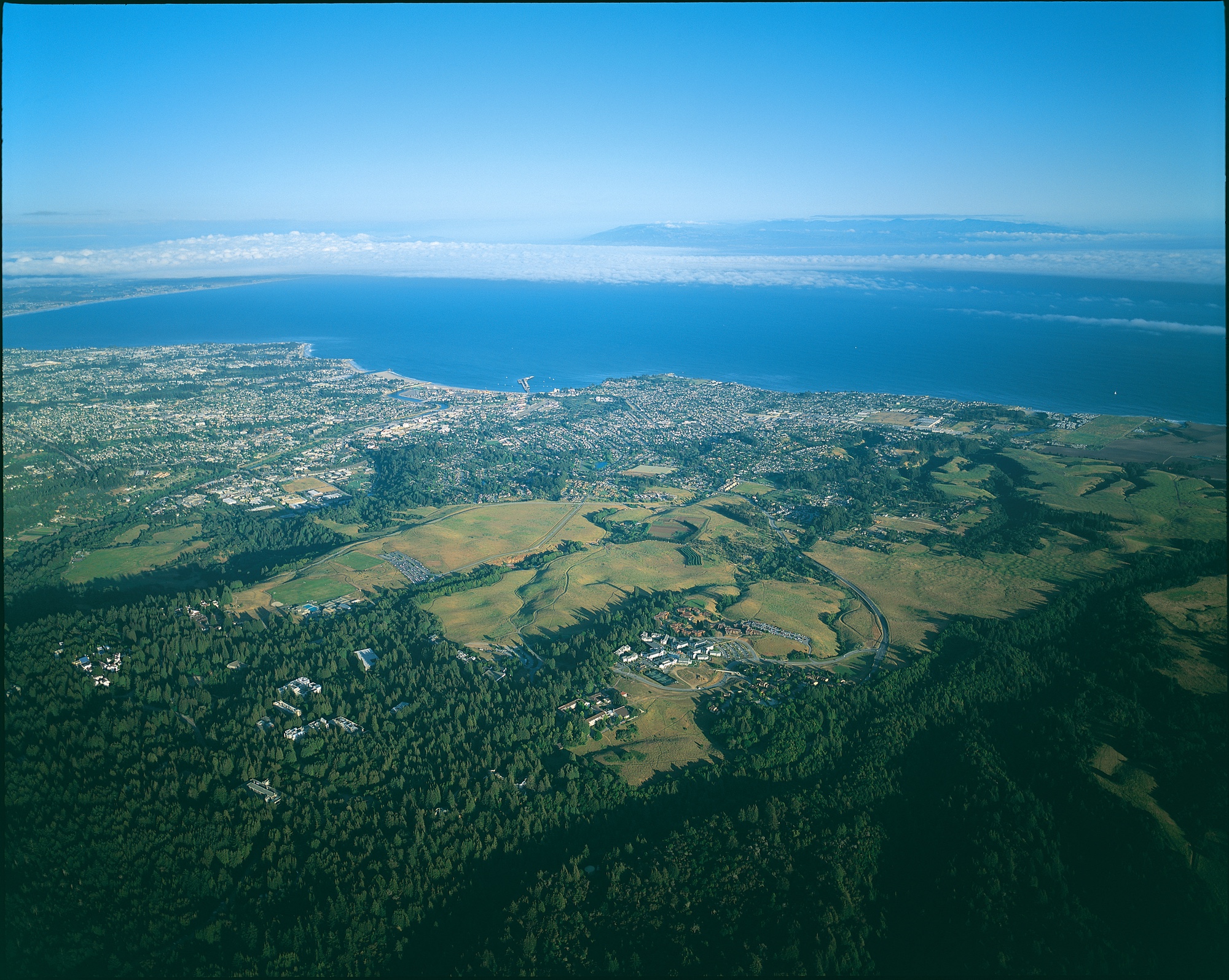 Oakes College: Elective Courses Lecturer Pool (JPF01866) - UCSC ...